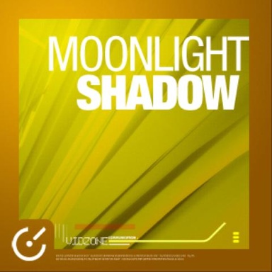 Moonlight Shadow - Italo Brothers