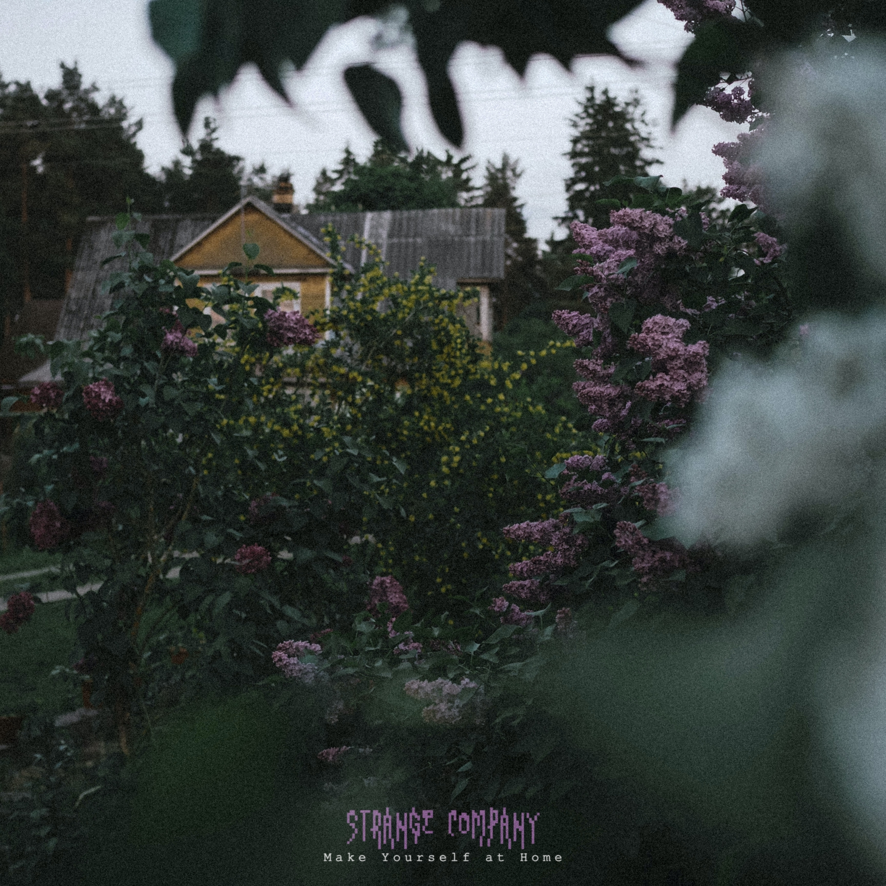 Make Yourself at Home - Strange Company